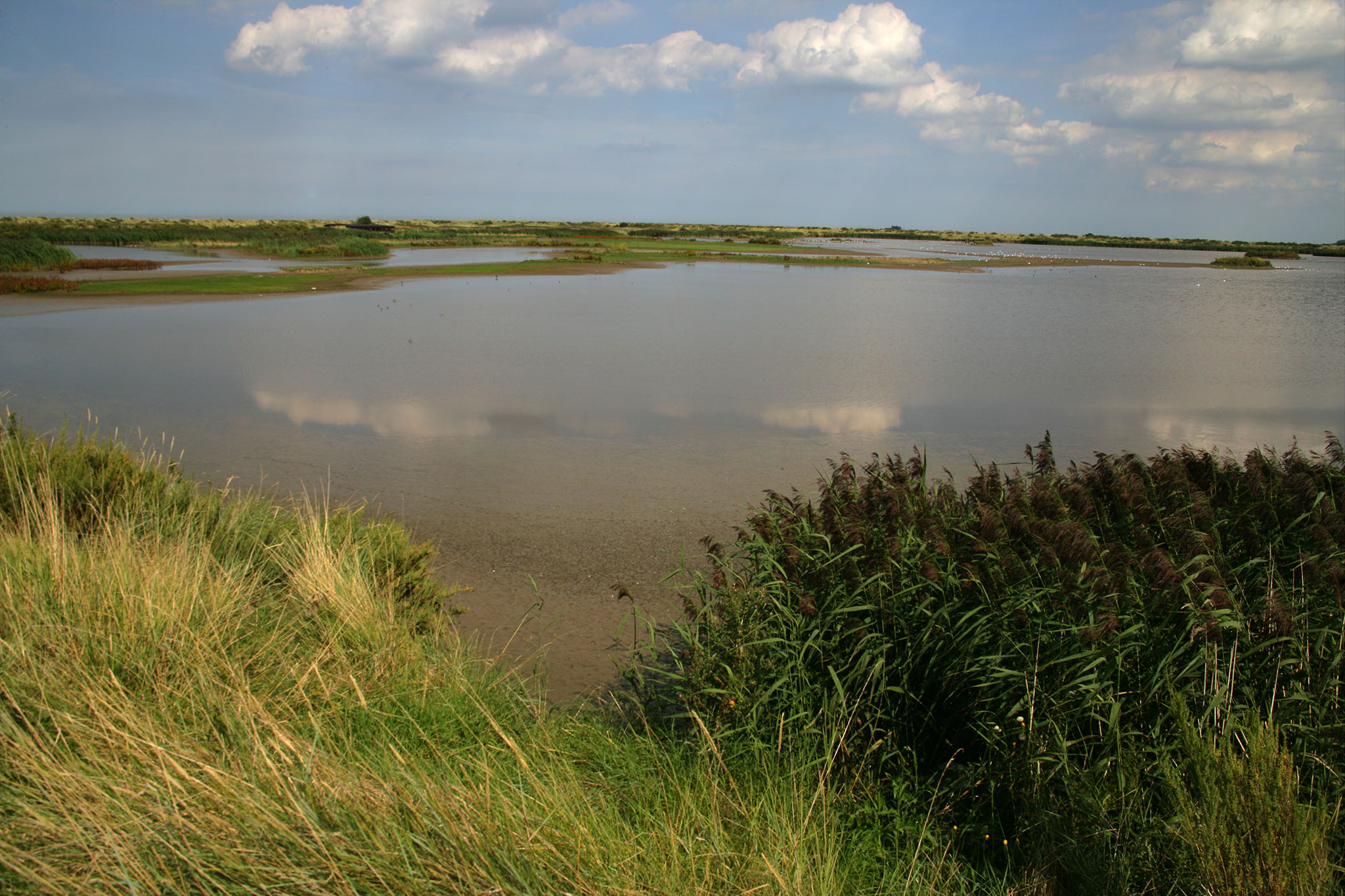 Titchwell Marsh Nature Reserve - Norfolk Coast Holiday Cottages